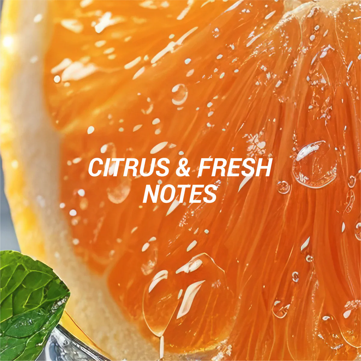 CITRUS & FRESH NOTES – BBA by Suleman