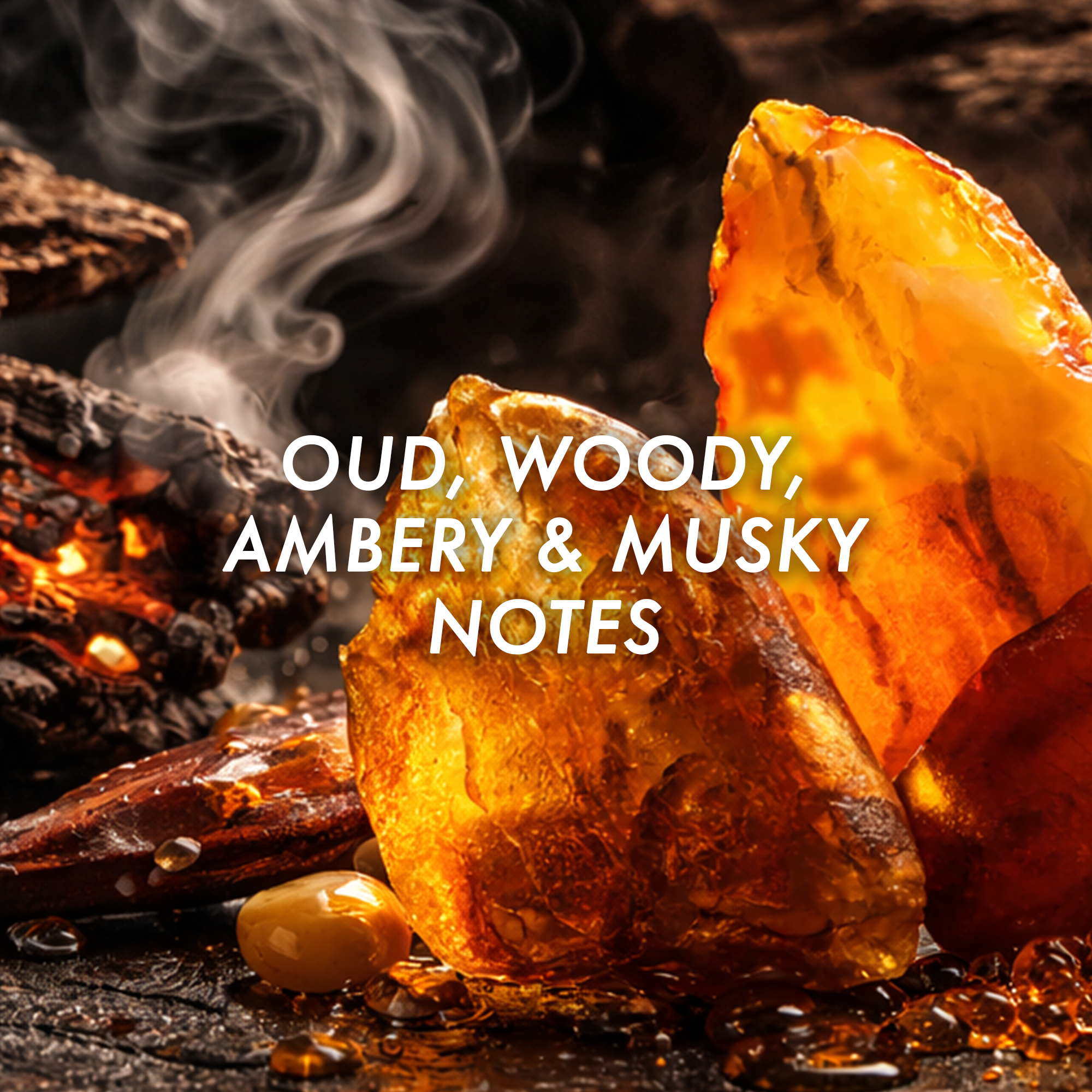 OUD, WOODY, AMBER & MUSK NOTES – BBA by Suleman